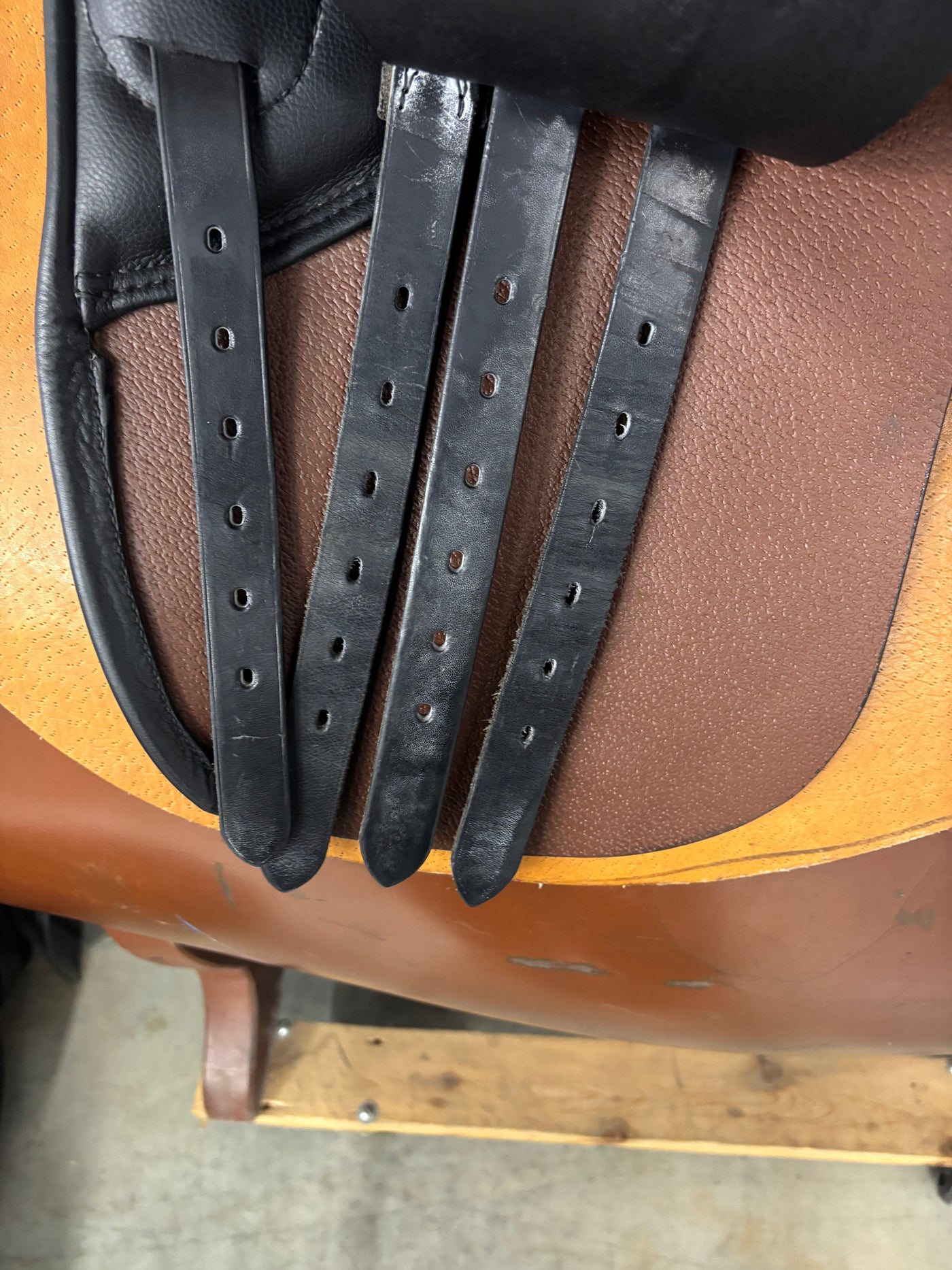 D Genesis Special *18"/28cm* · Stubben North America