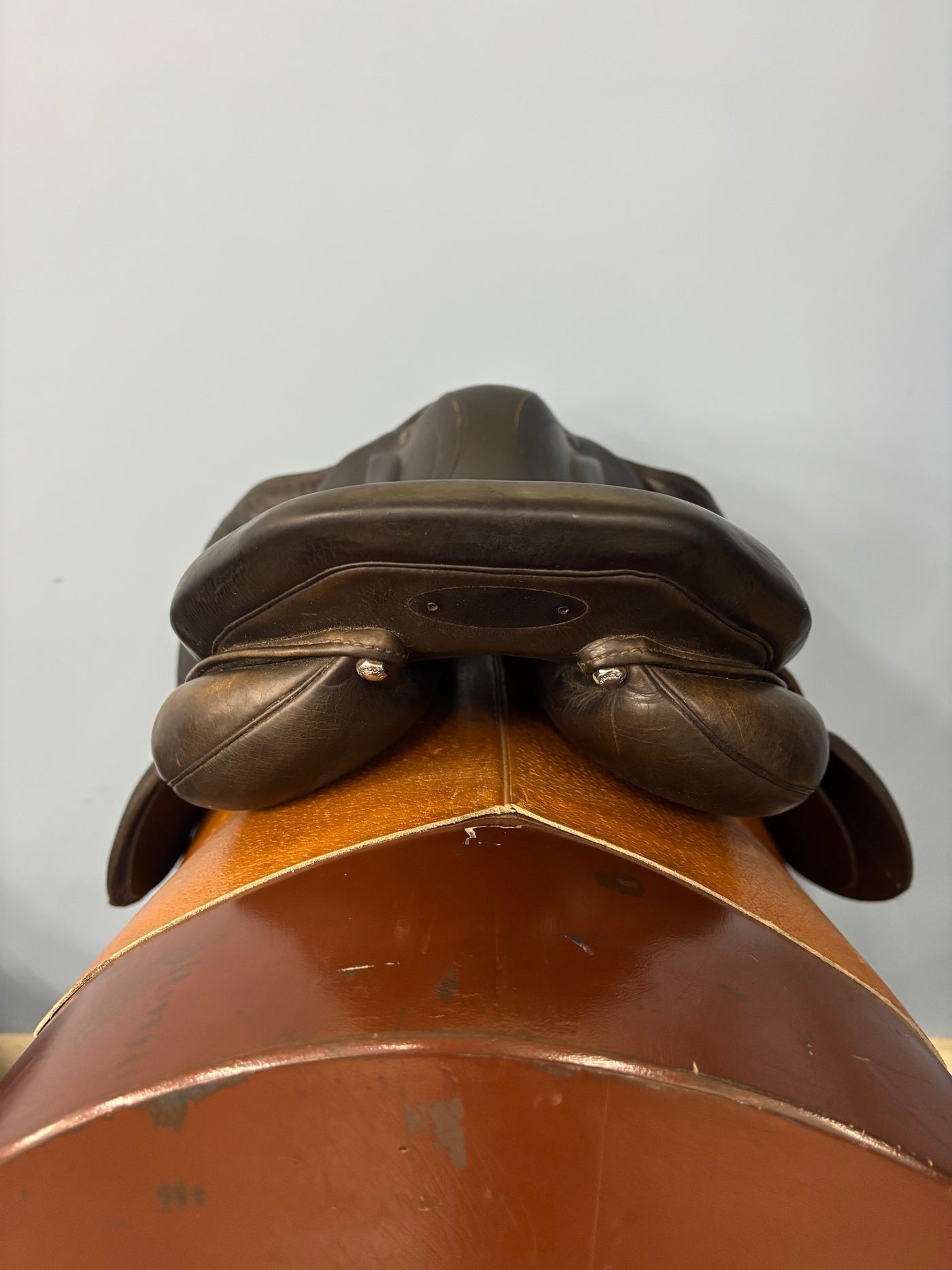 S Phoenix Elite *18"/27cm* · Stubben North America